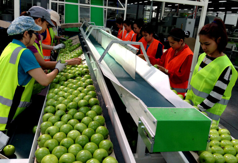 CONTRATACION DE EMPACADORES DE ALIMENTOS – Desarrollo Personal